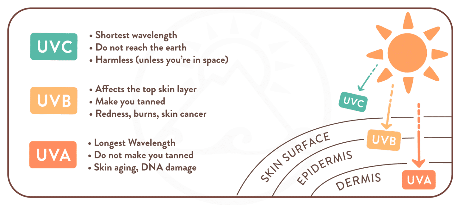 The Ultimate Guide to SPF, UVA & UVB – Suntribe