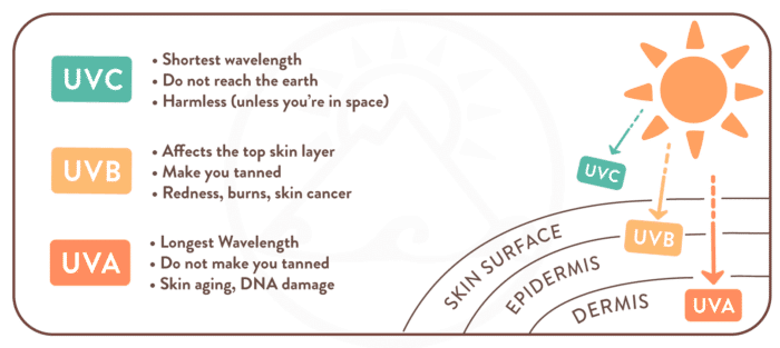 The Ultimate Guide to SPF, UVA & UVB – Suntribe