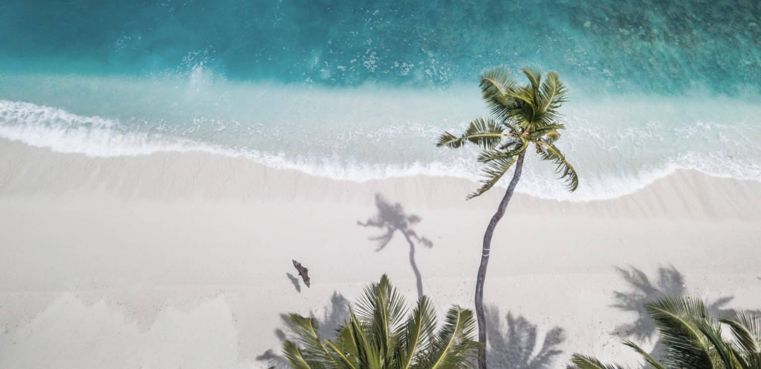 What is HEV Light and Why Should I Protect My Skin From HEV? – Suntribe